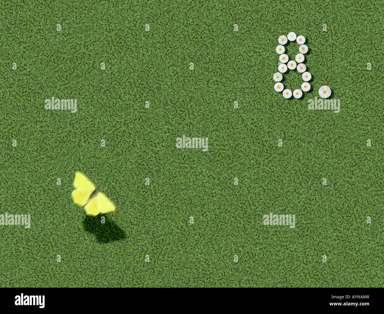 8 th Cut Out Stock Images & Pictures - Alamy