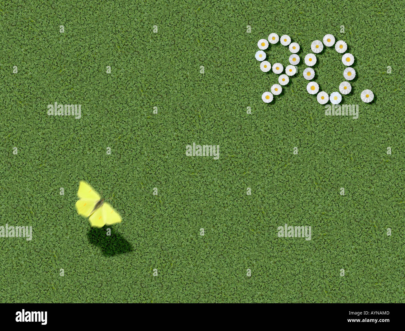 Number 90 hi-res stock photography and images - Alamy