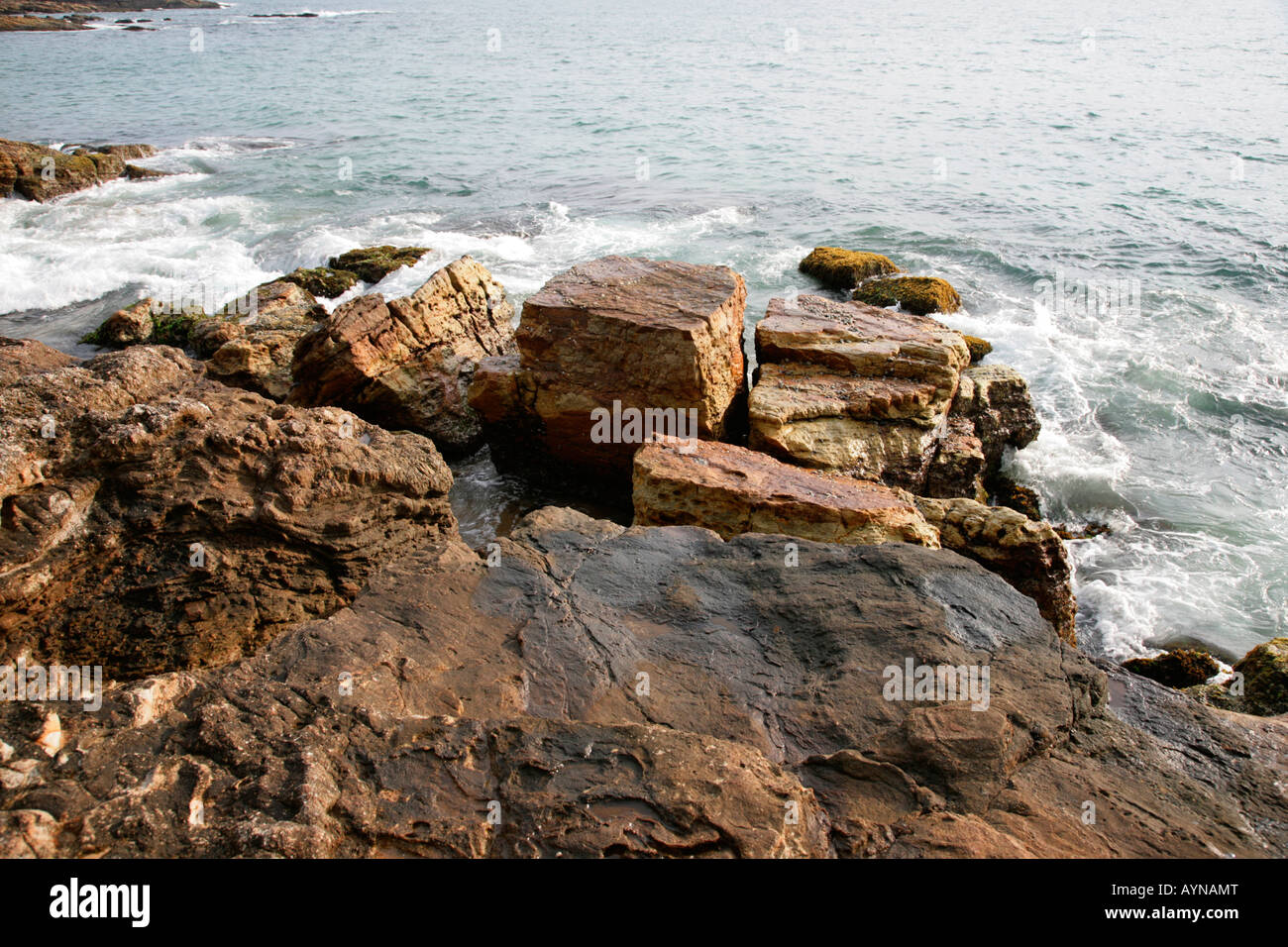 rocks at kovalam,kerala,india Stock Photo - Alamy
