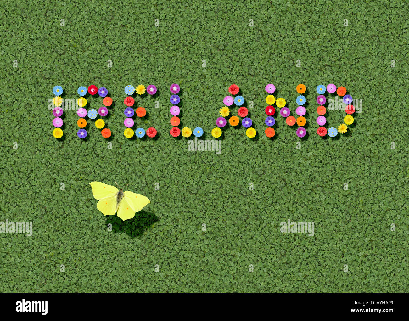 Ireland written with flowers plus flying brimstone spelled out ...