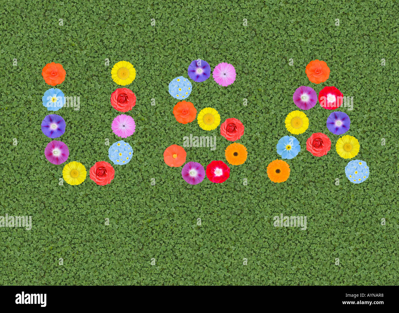 word USA written with flowers spelled out prewritten edited Stock Photo ...