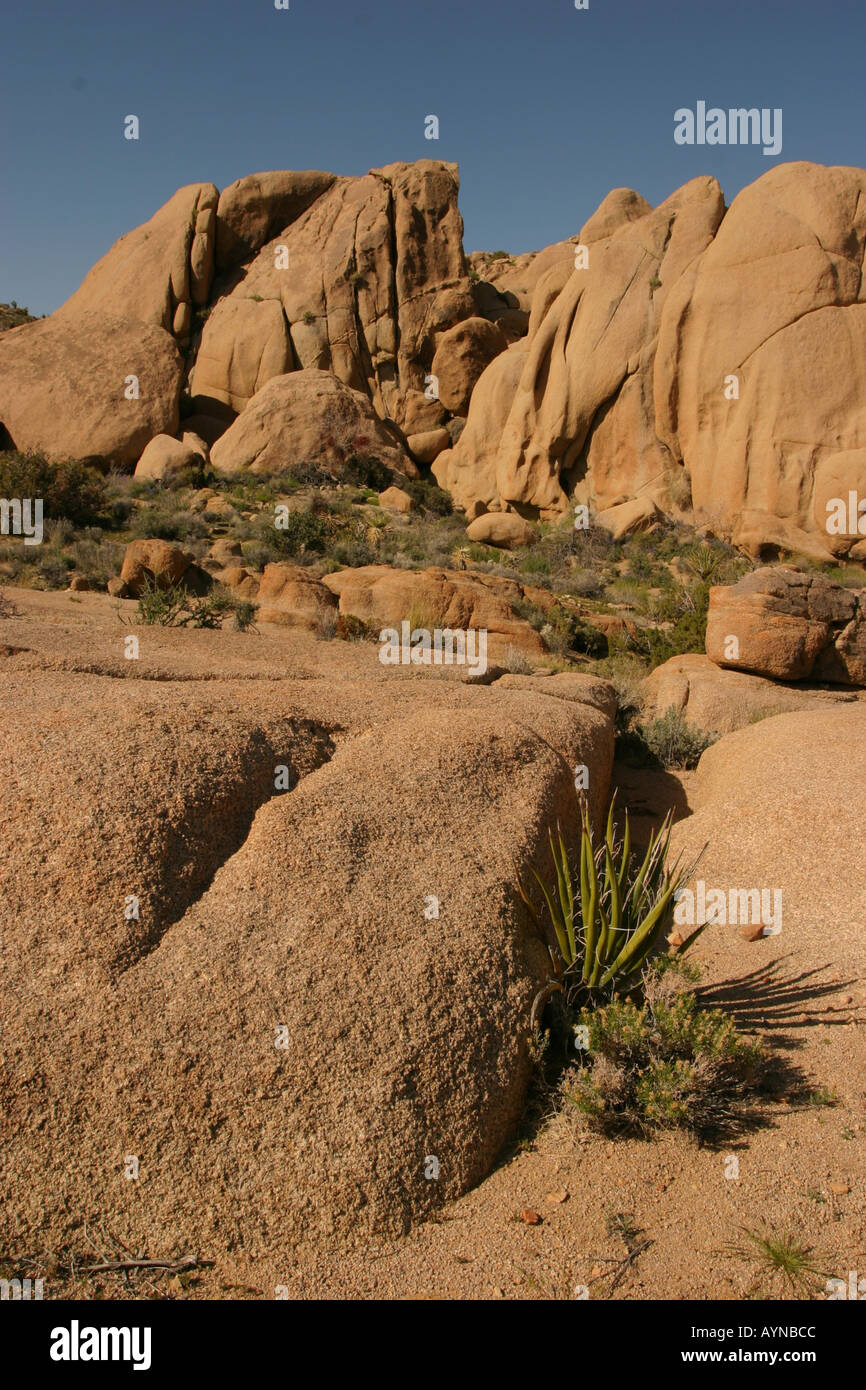 Granite outcrops in Joshua Tree National Park California Stock Photo ...
