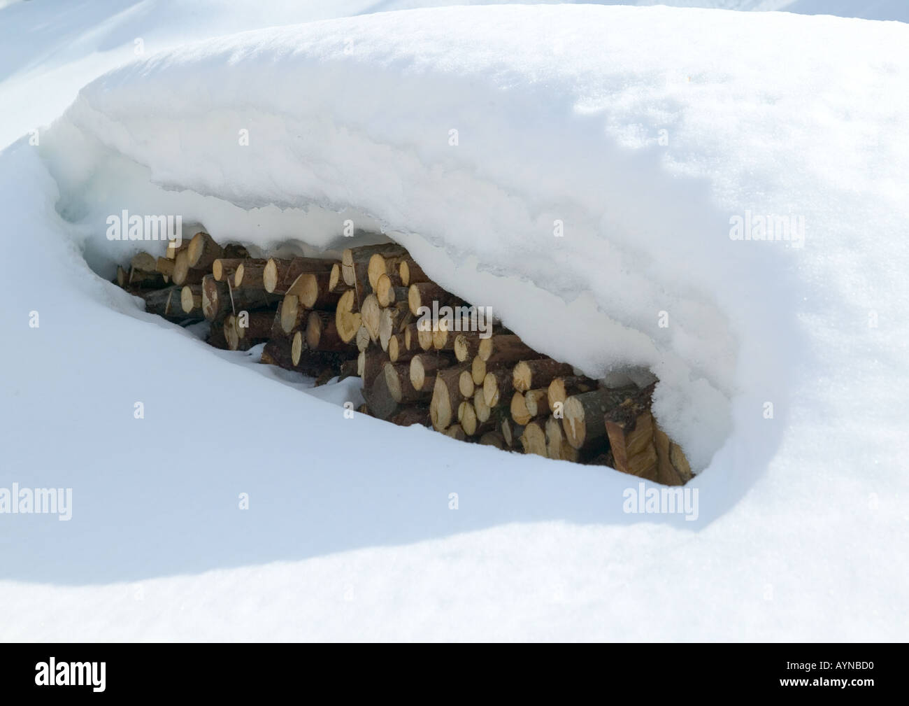 piles of logs covered in snow Stock Photo - Alamy