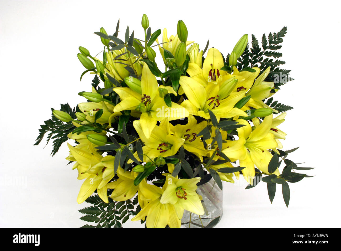 Bunch of lillies hi-res stock photography and images - Alamy