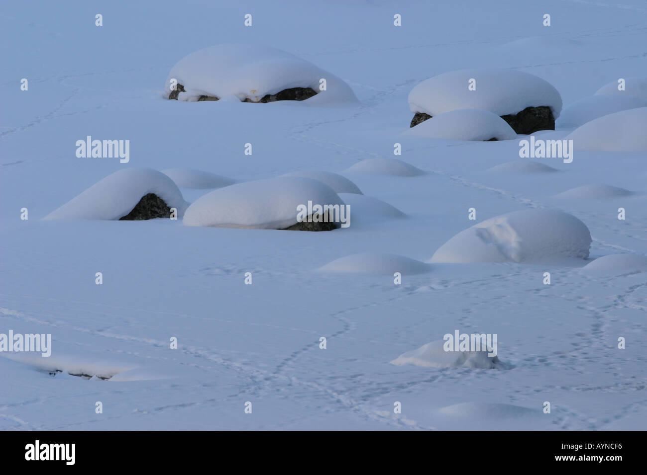 Lamar river in winter hi-res stock photography and images - Alamy