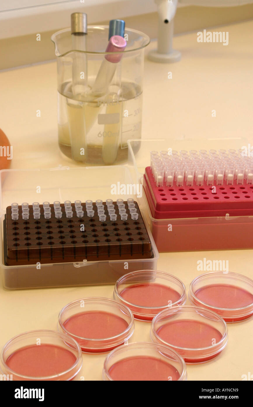 Testing water samples Stock Photo - Alamy