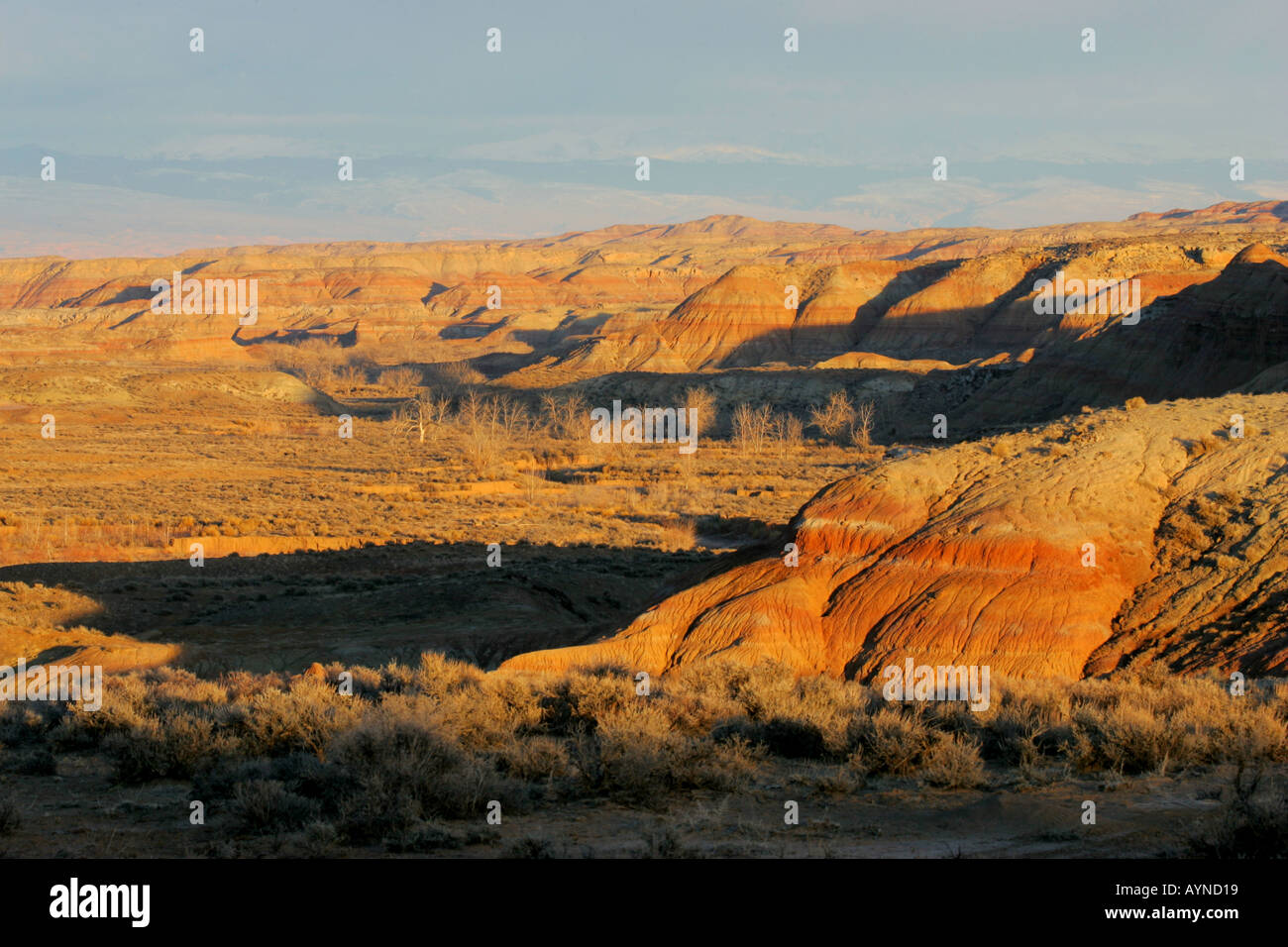 Badlands of the Bighorn Basin in Wyoming Stock Photo - Alamy