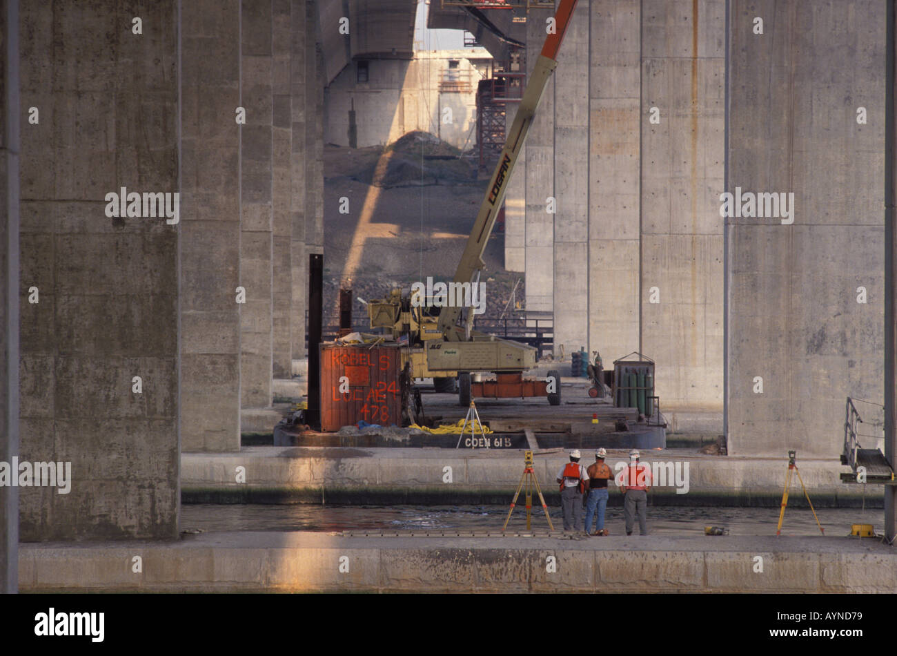 Construction workers surveying concrete piers under a bridge ...