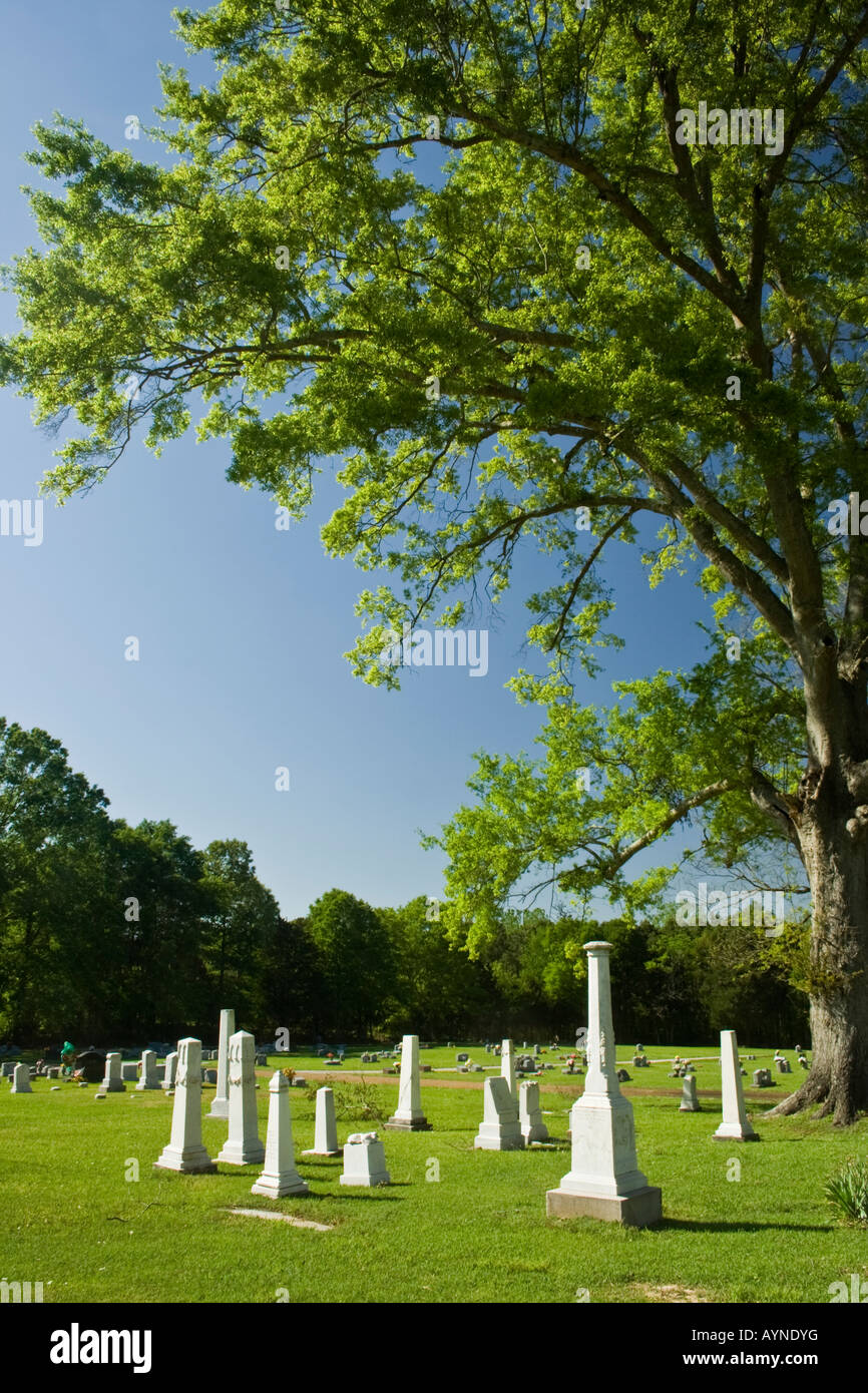 Cemetary with tree Stock Photo - Alamy
