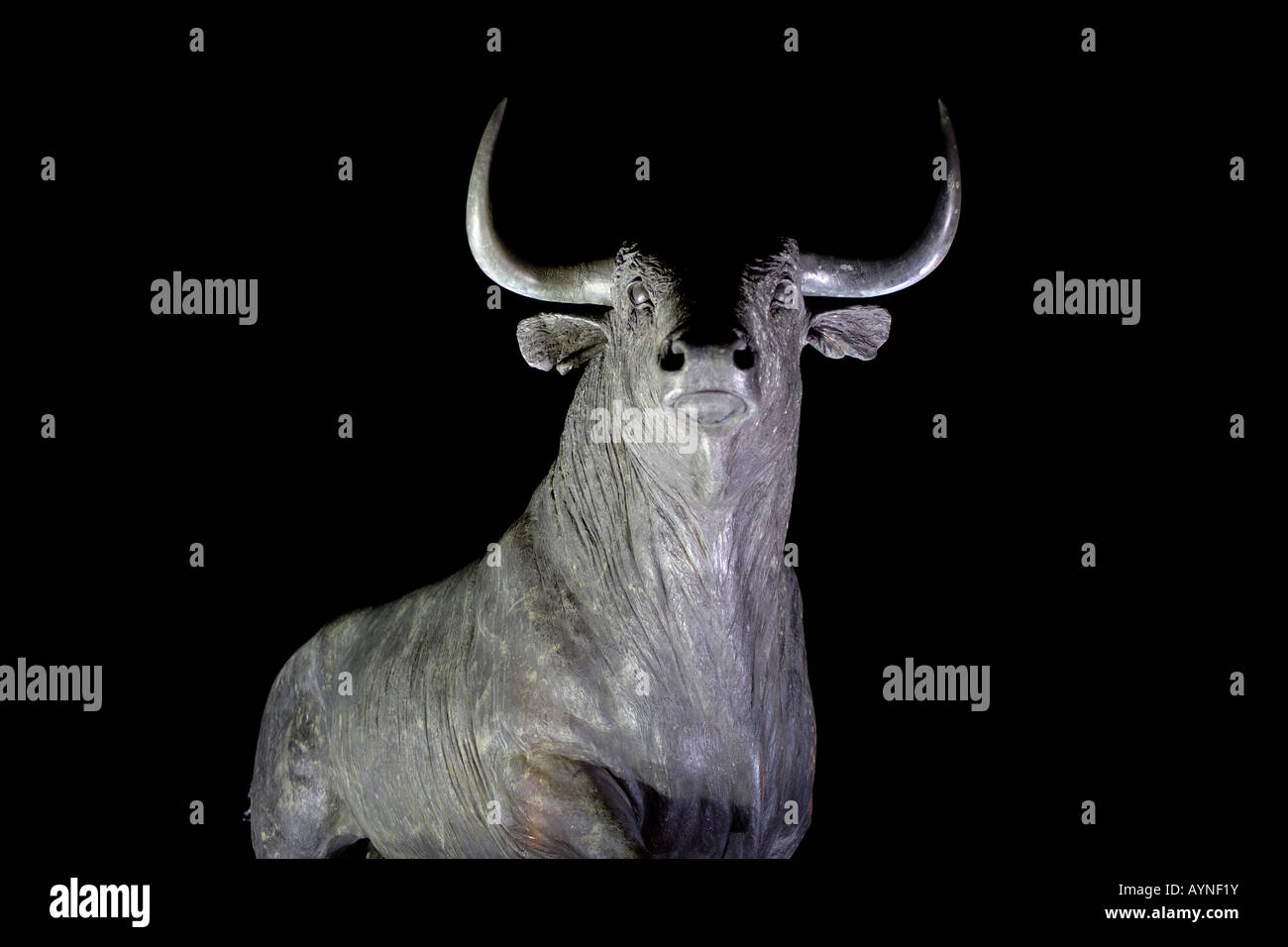 Blueberry Wine Bull