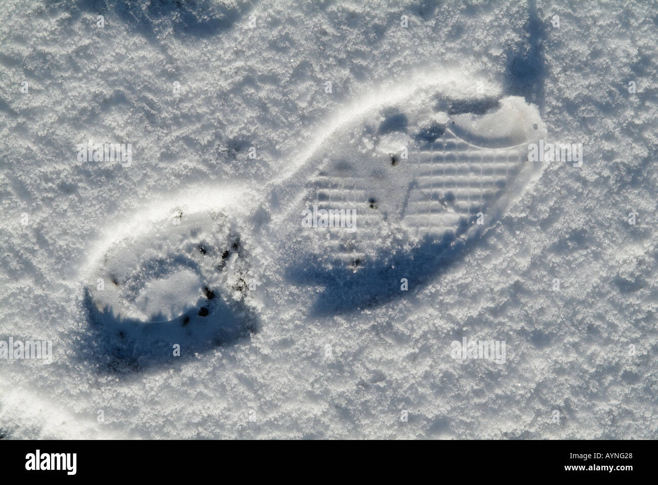 human footprint in the snow Stock Photo - Alamy