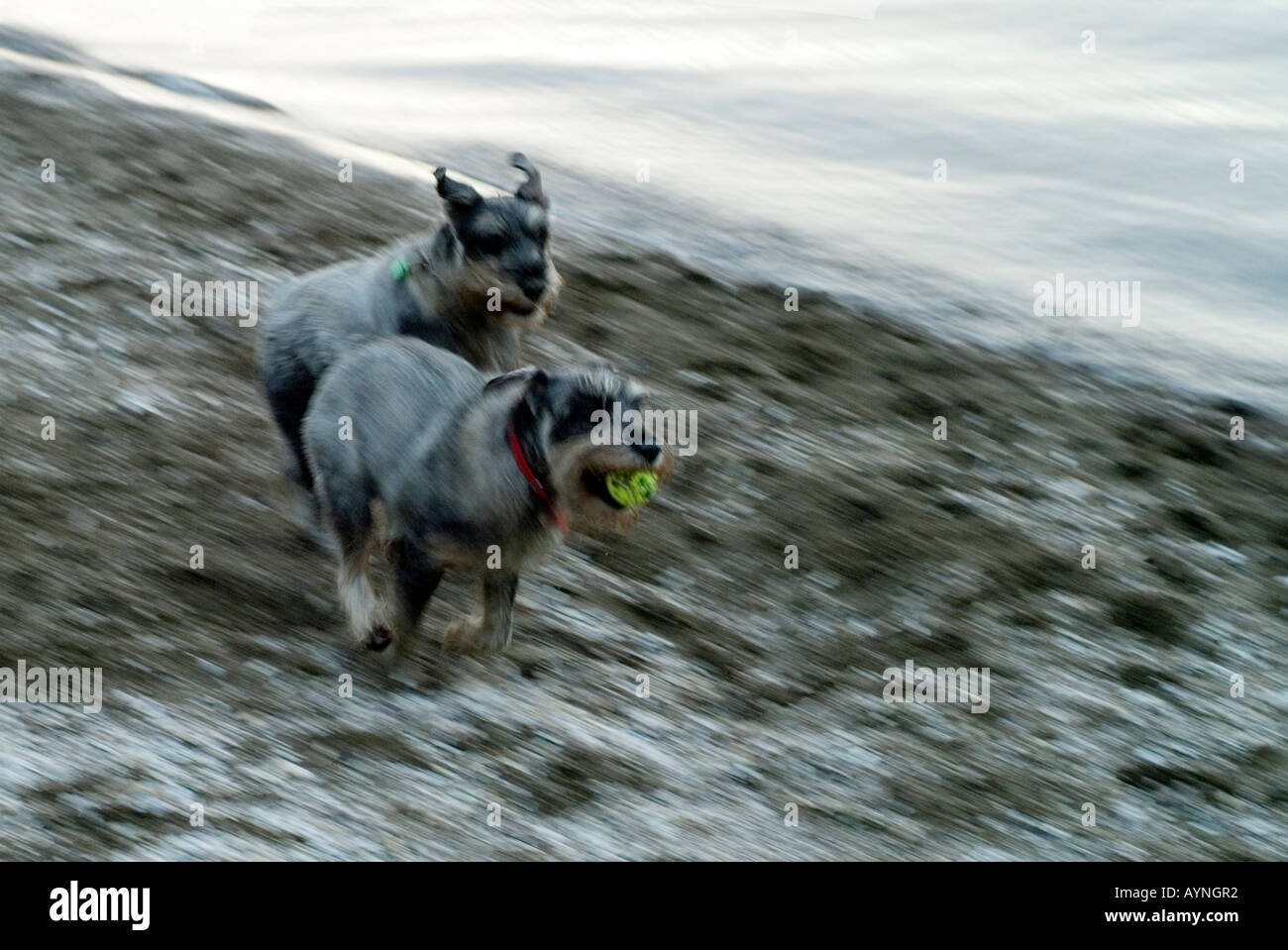 Twos a crowd Stock Photo - Alamy