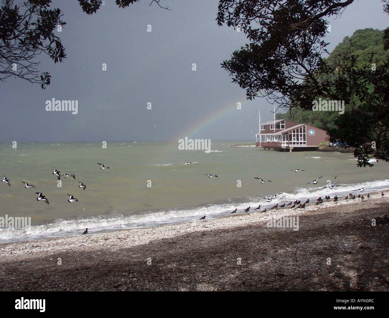 French bay beach, new zealand hi-res stock photography and images - Alamy
