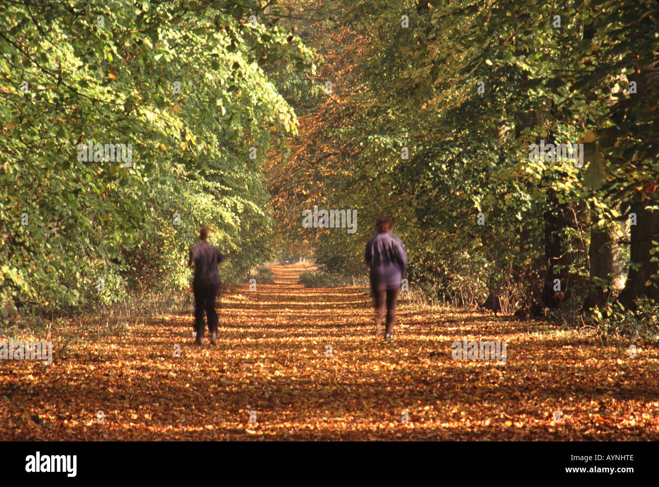 UNITED KINGDOM. Mother and teenage son jogging on the Long Walk at ...