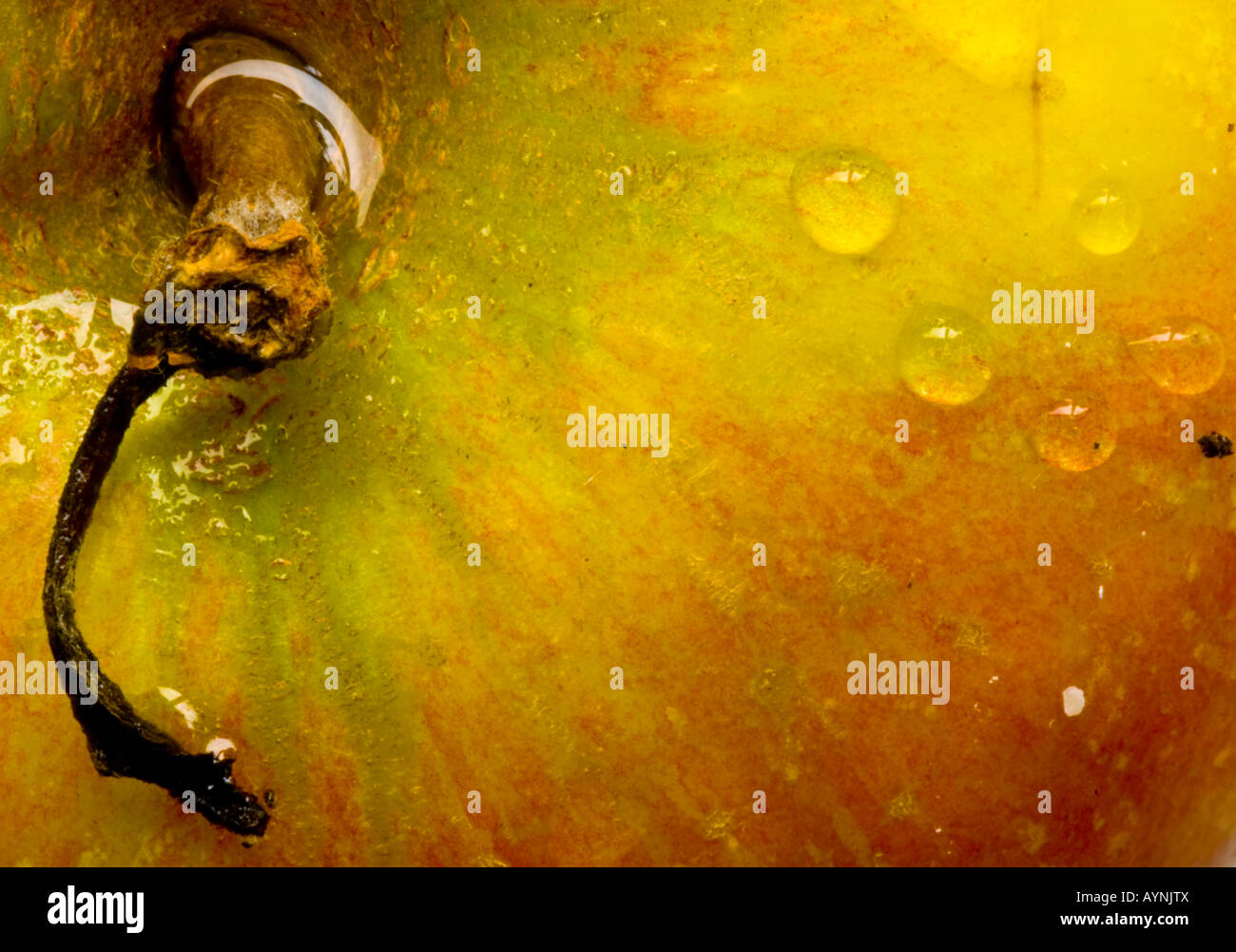 A macro shot of an apple Stock Photo - Alamy