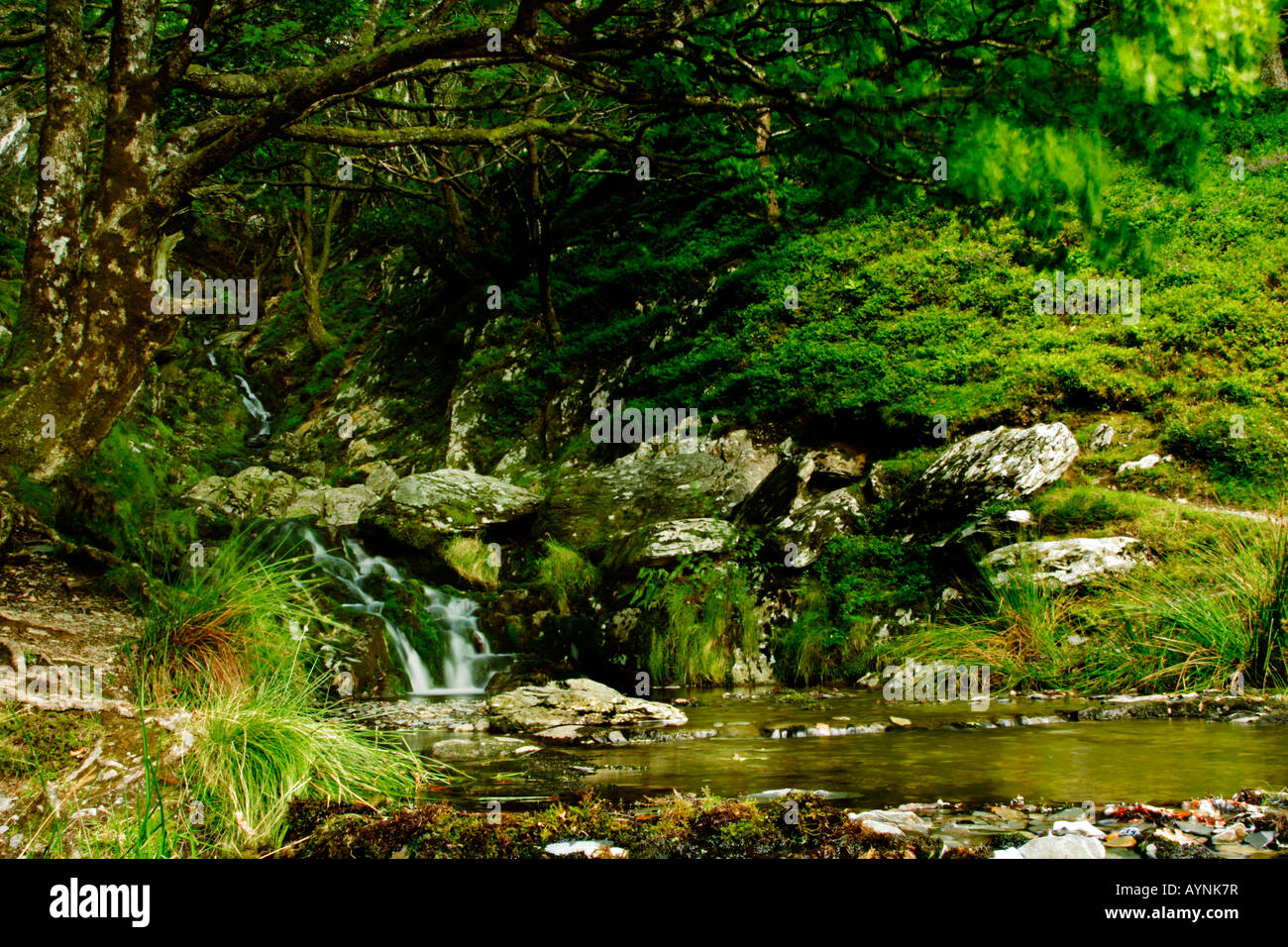 Mountain stream waterfall in Elan Valley, Wales Stock Photo - Alamy