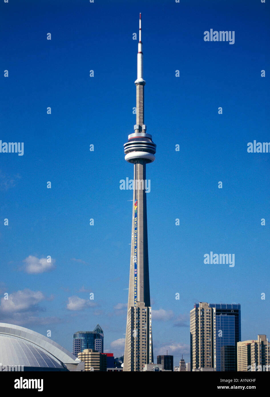 Toronto s CN Tower rising towards the clear blue sky above and towing ...