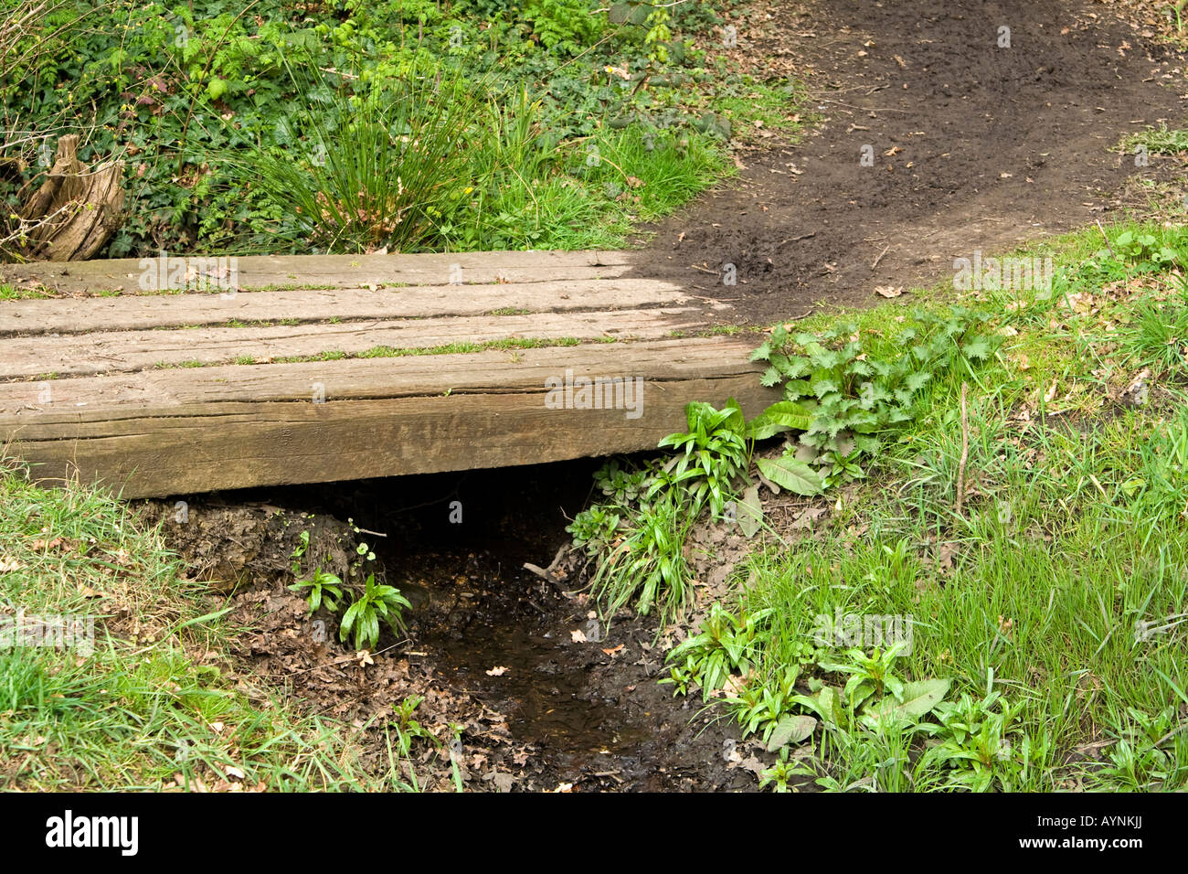 A ^wooden bridge across a ditch, UK Stock Photo - Alamy