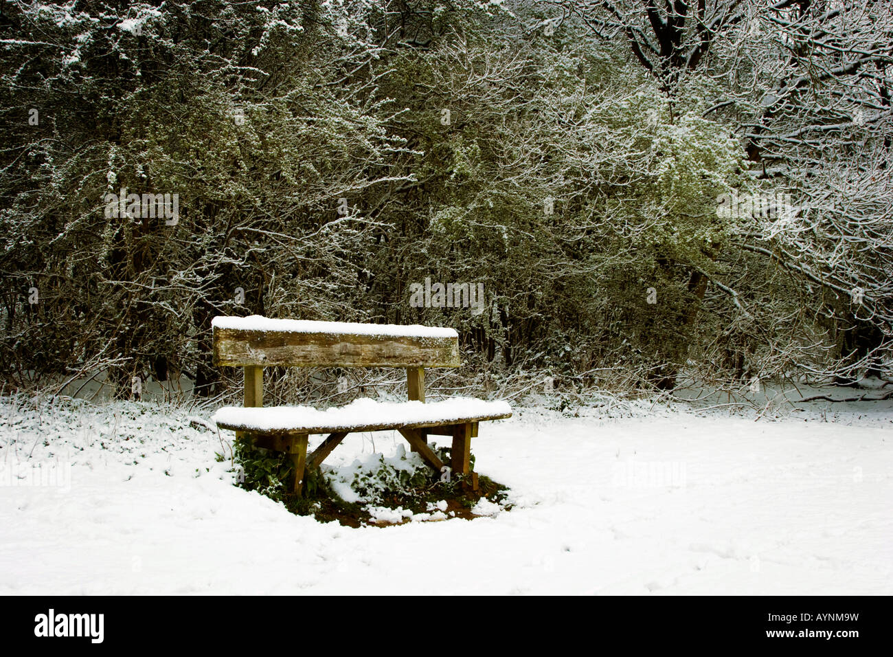 Park bench in the snow Stock Photo - Alamy