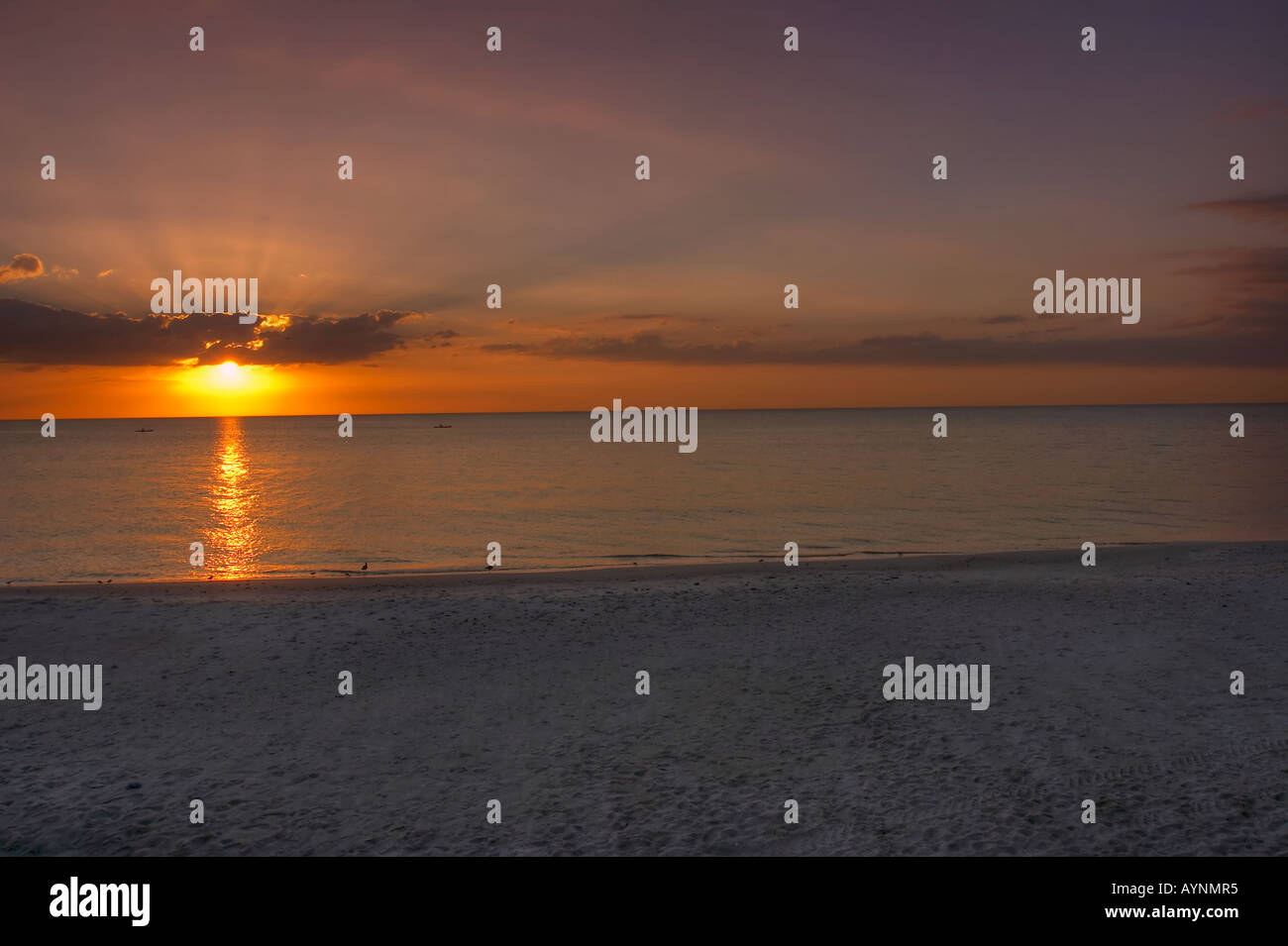 florida beach sunset Stock Photo - Alamy