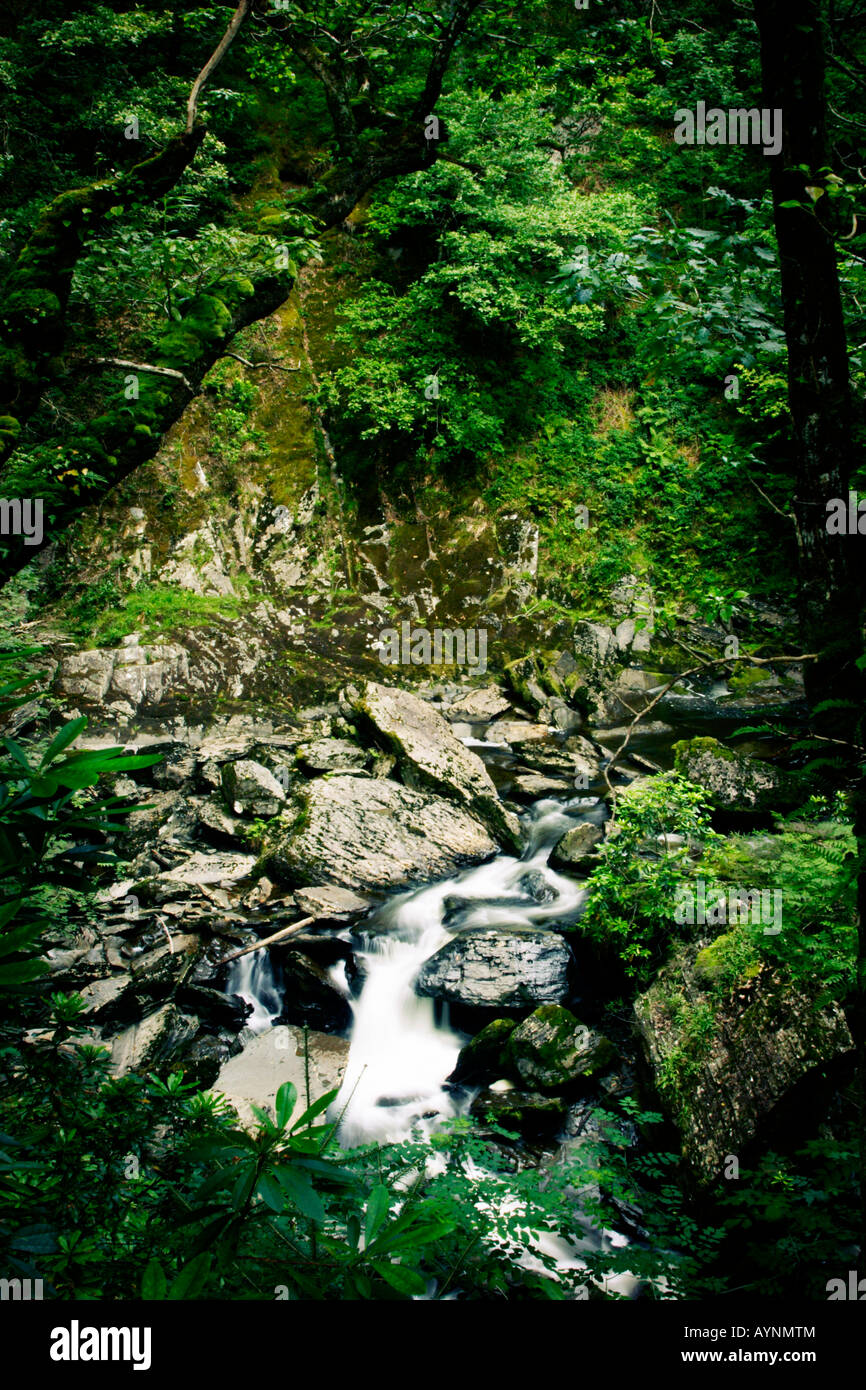 Waterfall at Devil's Bridge, Aberystwyth, Wales Stock Photo - Alamy
