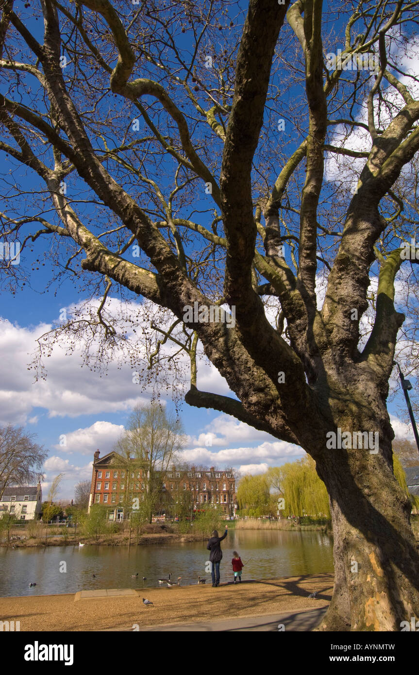 Barnes pond hi-res stock photography and images - Alamy