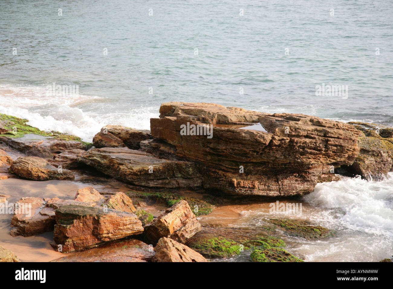 Nature photo kerala hi-res stock photography and images - Alamy