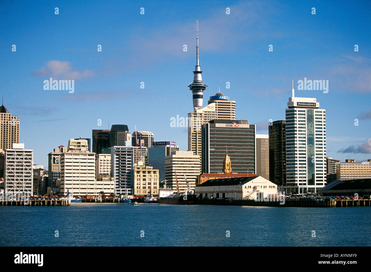 Skyline view across the water of Auckland with the Sky Tower in the ...