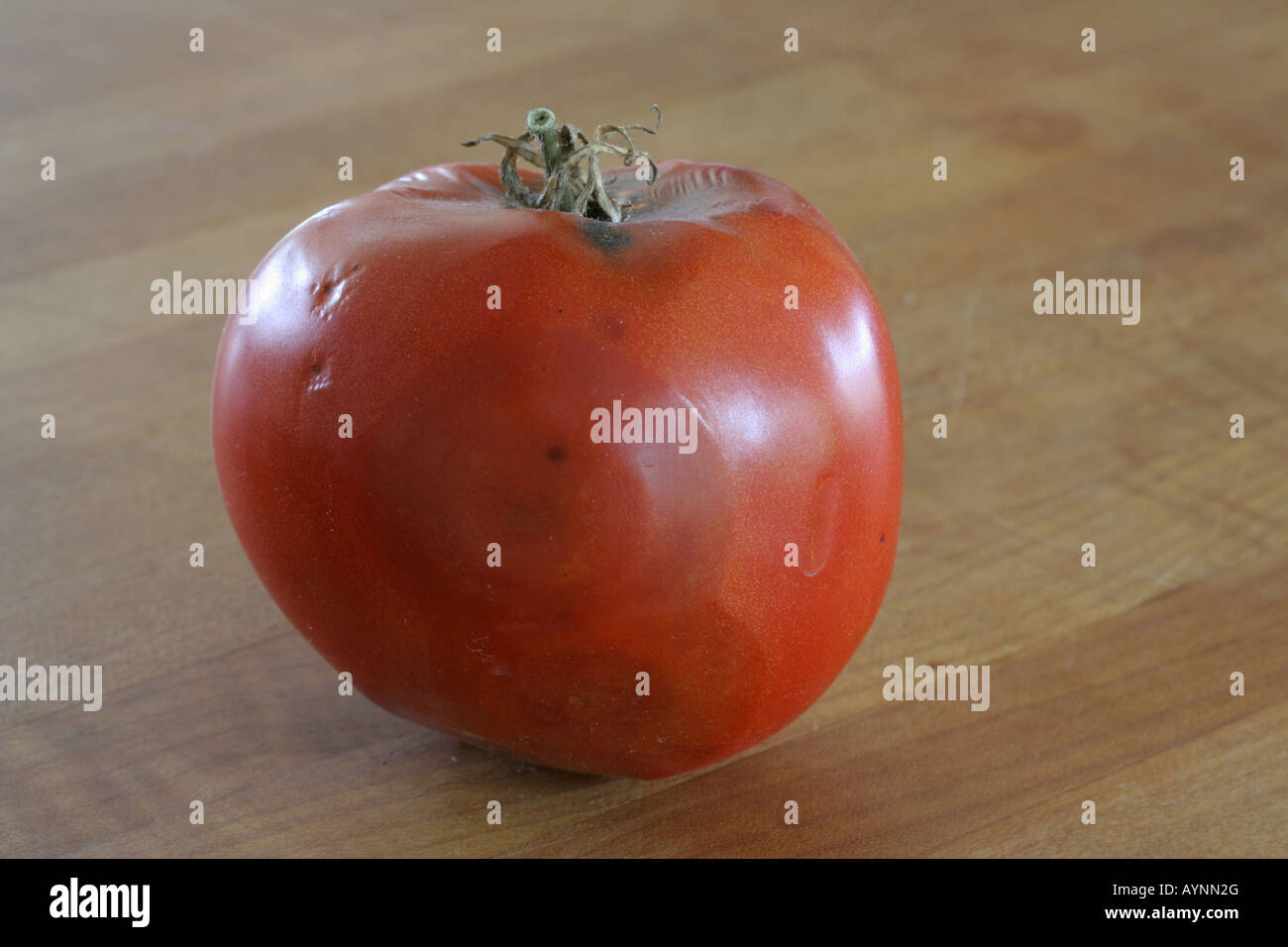 A rotting tomato Stock Photo - Alamy