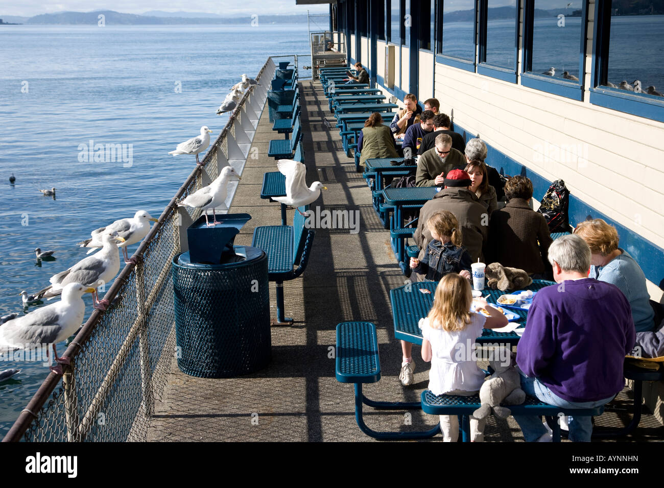 Seattle Washington State USA Elliott Bay Waterfront Ivar s fish and ...