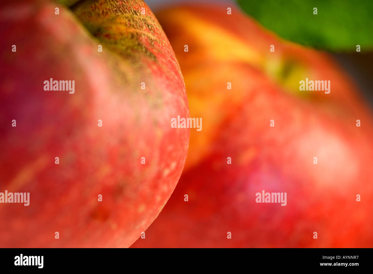 Charles ross apple hi-res stock photography and images - Alamy