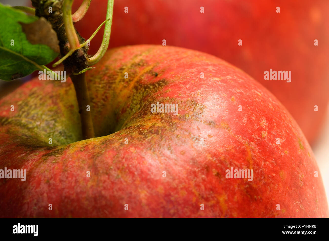 Charles ross apple hi-res stock photography and images - Alamy