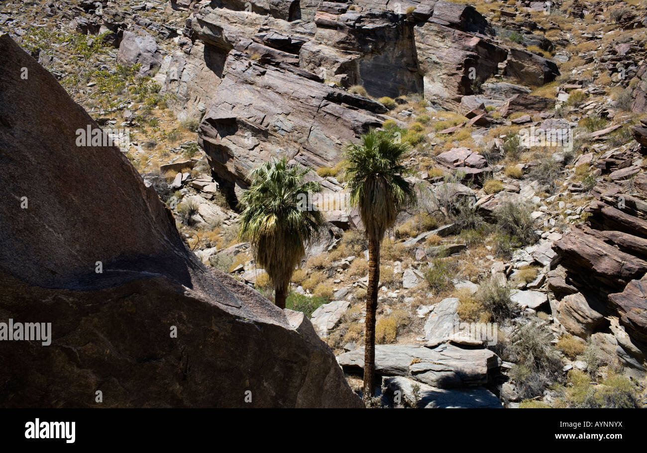 Indian Reservation Trails Rocks Path Trail Stock Photo - Alamy
