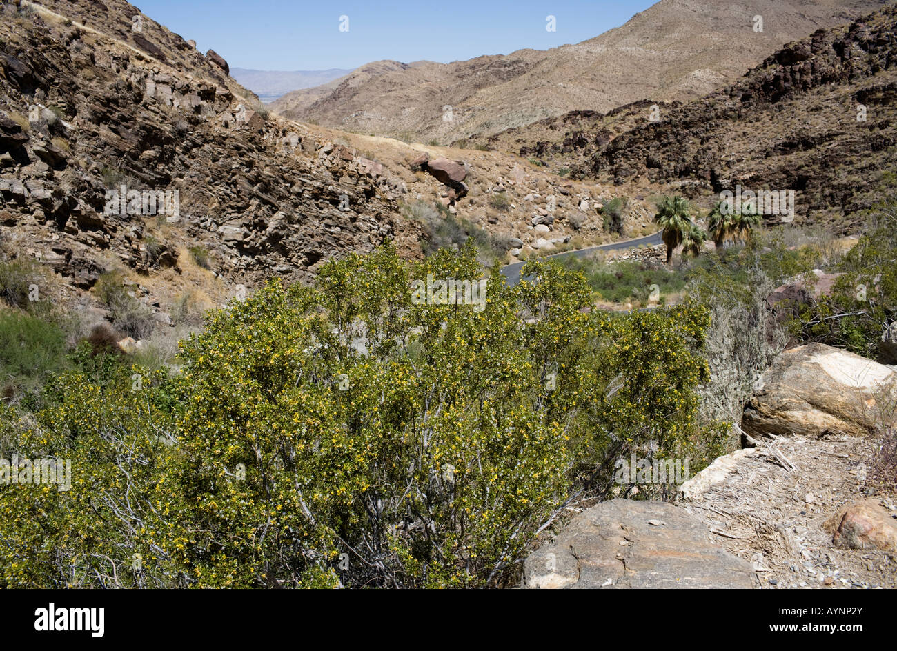 Indian Reservation Trails Stock Photo - Alamy