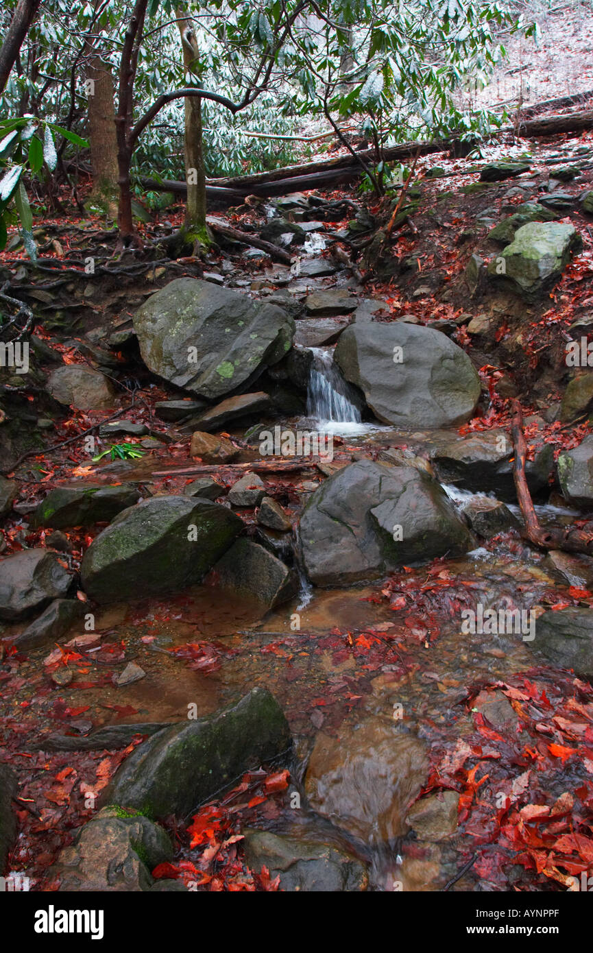little stream of water Stock Photo - Alamy