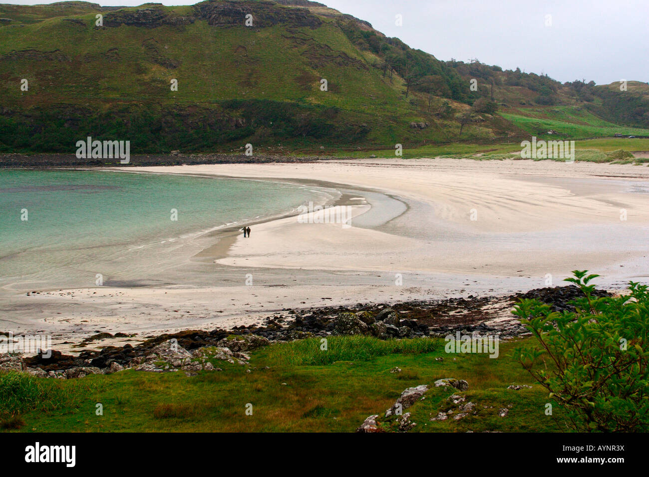 beach, Isle of Mull, Scotland Stock Photo - Alamy