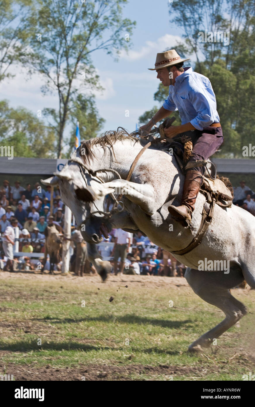 rodeo horse Uruguay fiesta gaucho cow-boy cowboy Stock Photo - Alamy