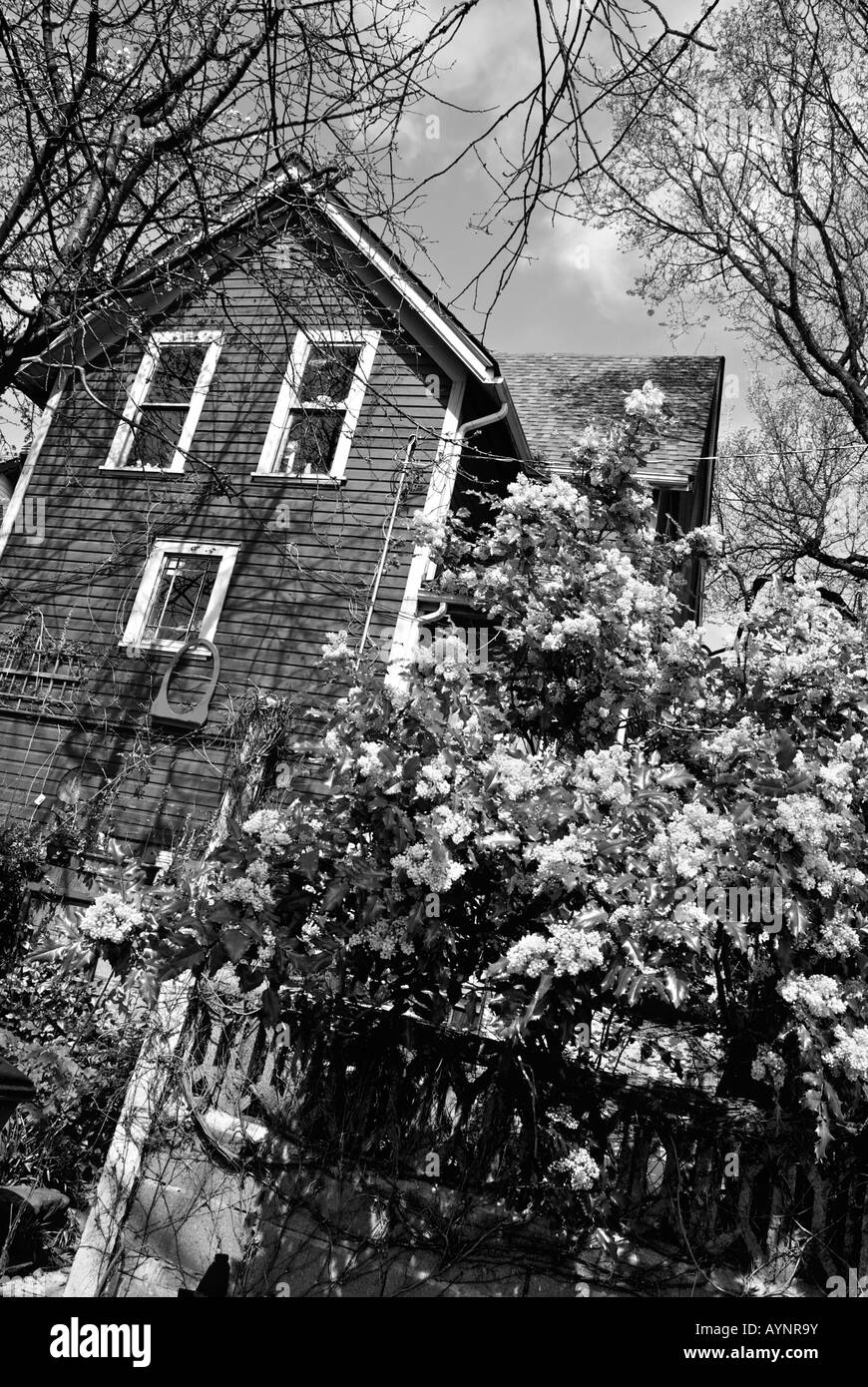 Old strathcona hi-res stock photography and images - Alamy