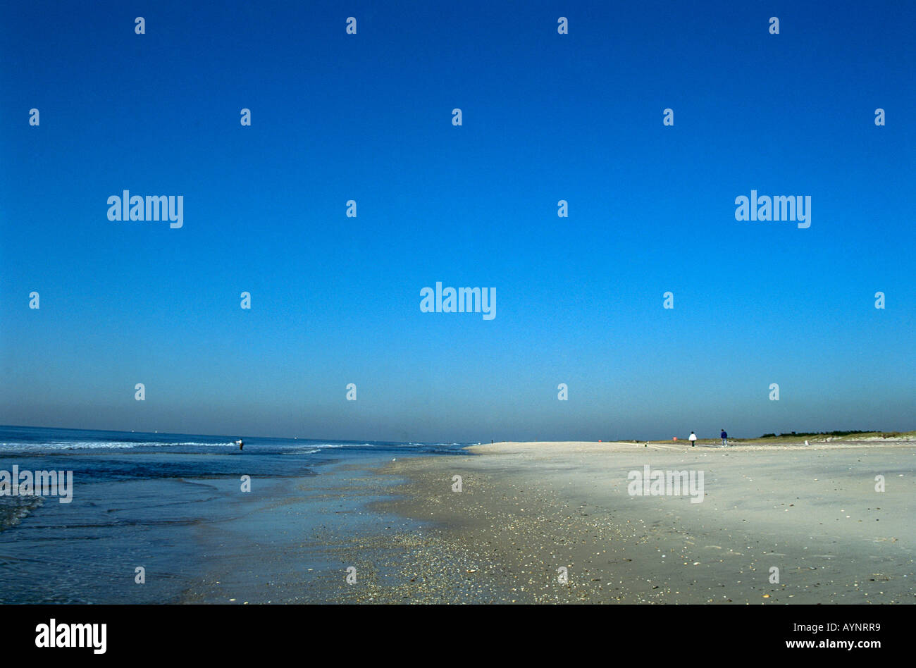 Robert moses beach state park hi-res stock photography and images - Alamy