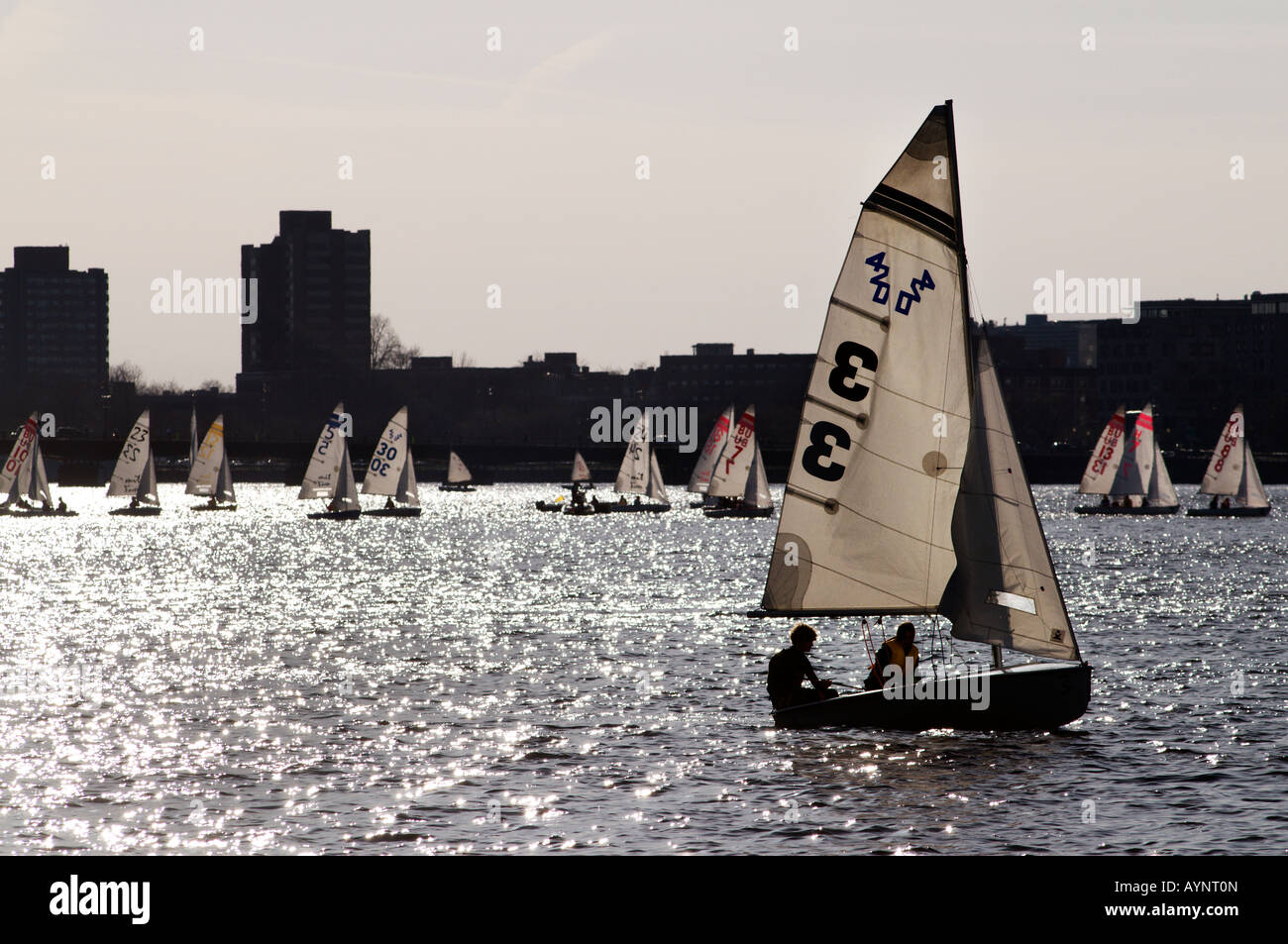 Boston charles river sailing hi-res stock photography and images - Alamy