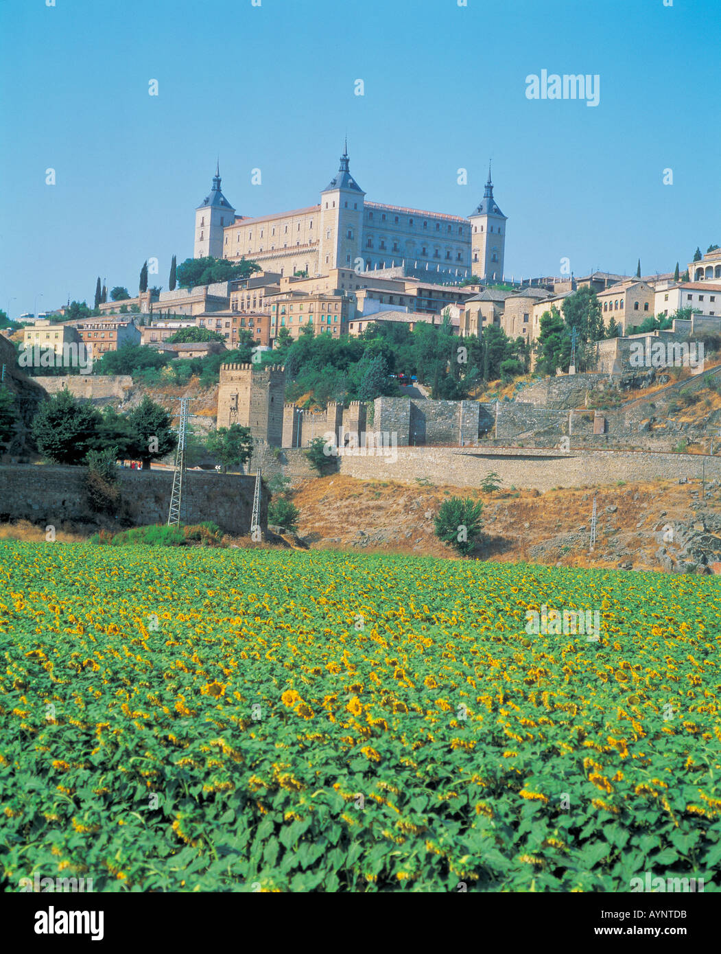 Flower Garden with Castle Stock Photo - Alamy