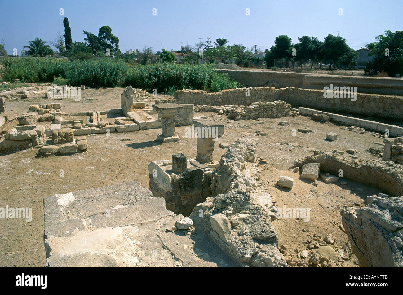 The remains of walls and crumbling pillars backed by trees and dense ...