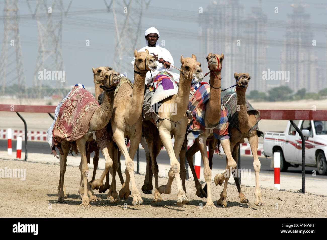 Races in uae hi-res stock photography and images - Alamy