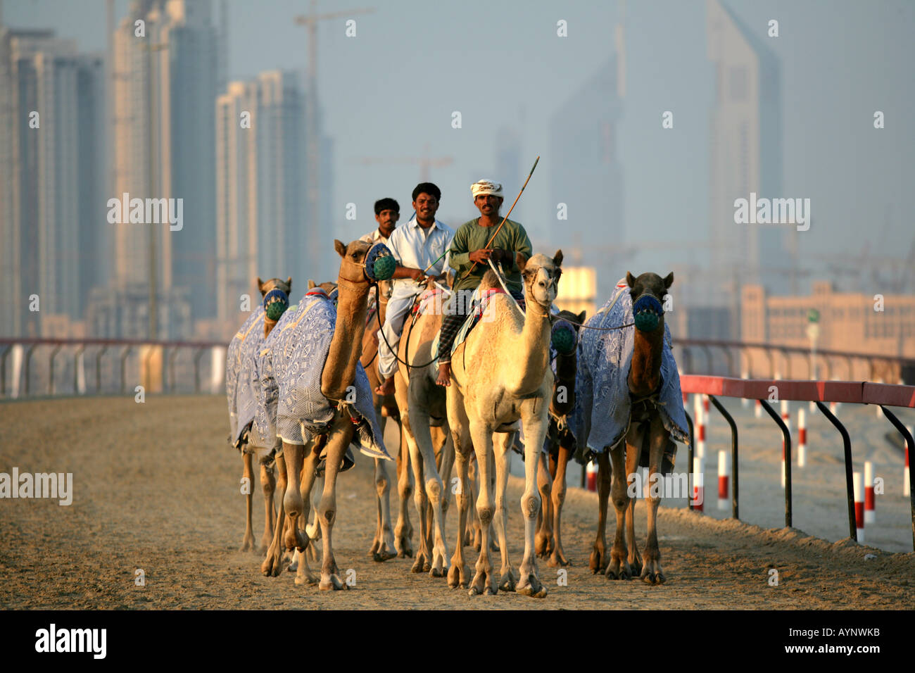 Races in uae hi-res stock photography and images - Alamy