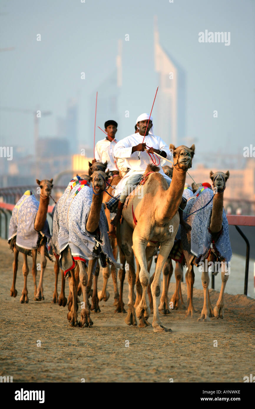 Races in uae hi-res stock photography and images - Alamy