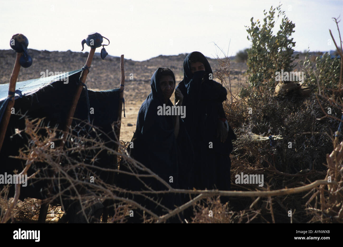 Touareg women in traditional camp, near Kidal, Sahara Desert, Northern ...