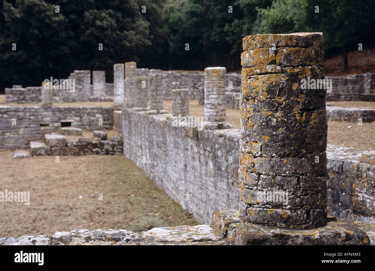 Roman villa ruins on Veli Brijun Stock Photo - Alamy