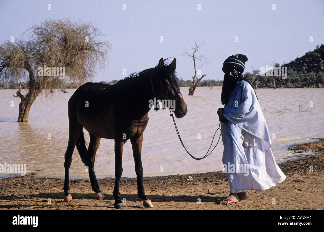 Touareg (Tuareg) tribesman with his horse by lake at Tamadacht Festival ...