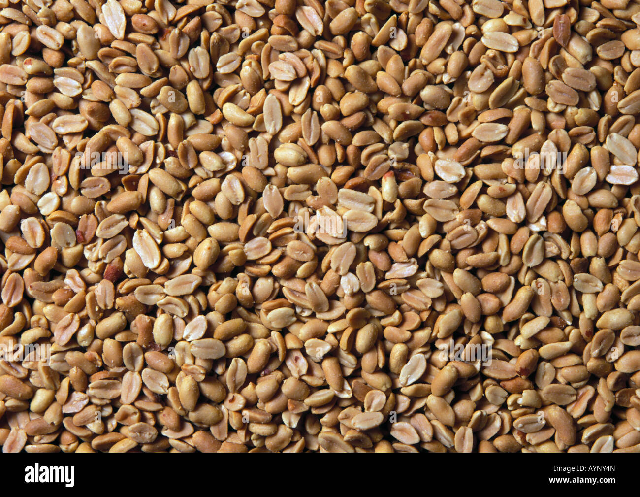 Salted peanuts hi-res stock photography and images - Alamy