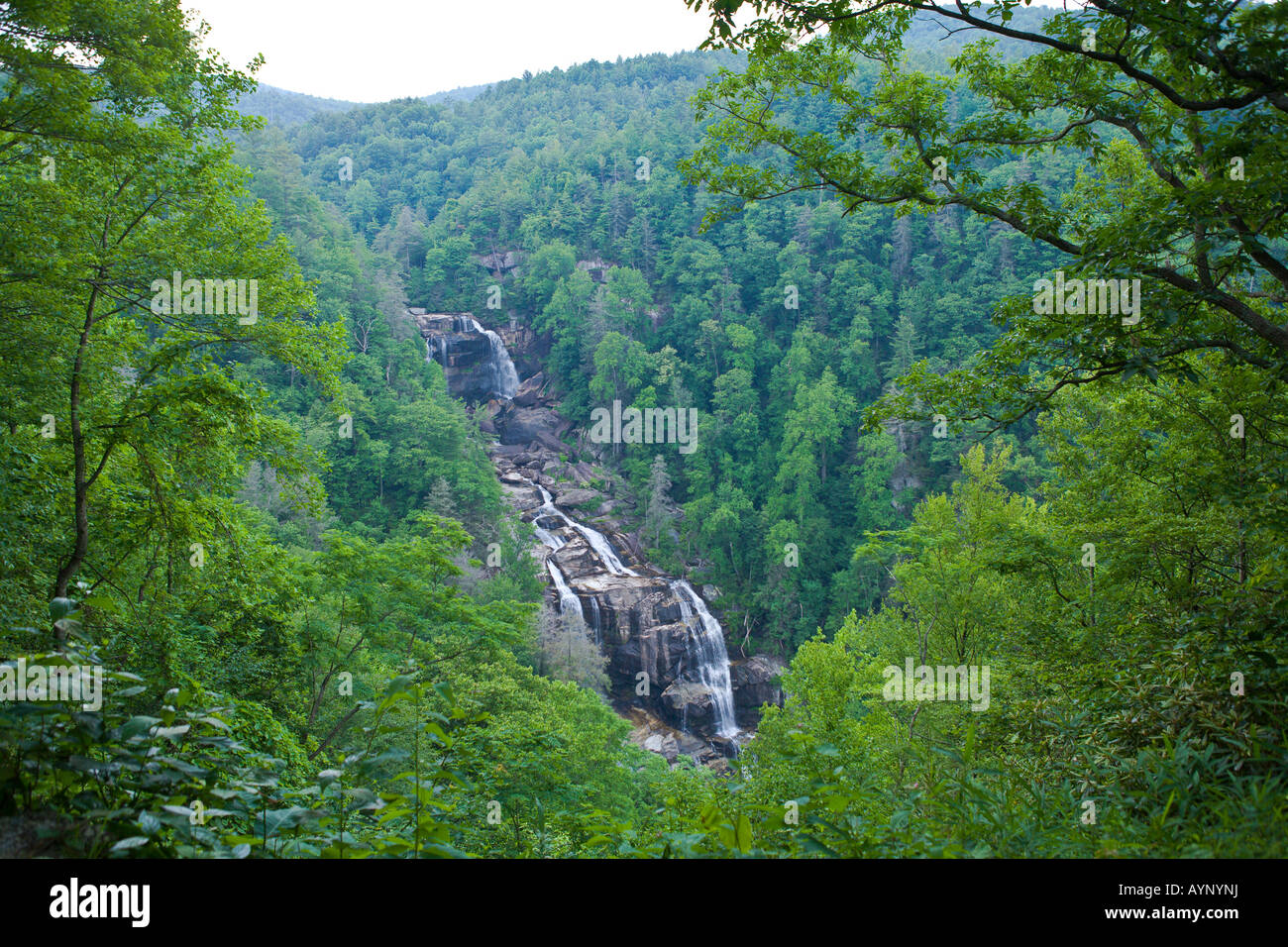 Upper Whitewater Falls park in North Carolina, U.S.A Stock Photo - Alamy Upper Whitewater Falls park in North Carolina, U.S.A Stock Photo - Alamy